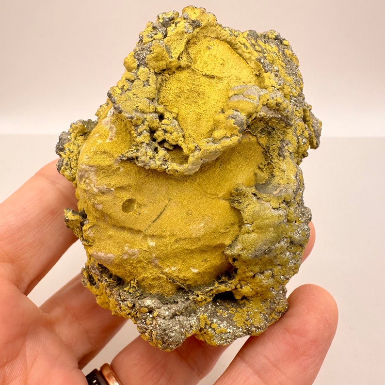 Cool Pyrite Coiled Over Yellow Matrix Rock From Pakistan | A Rare ...