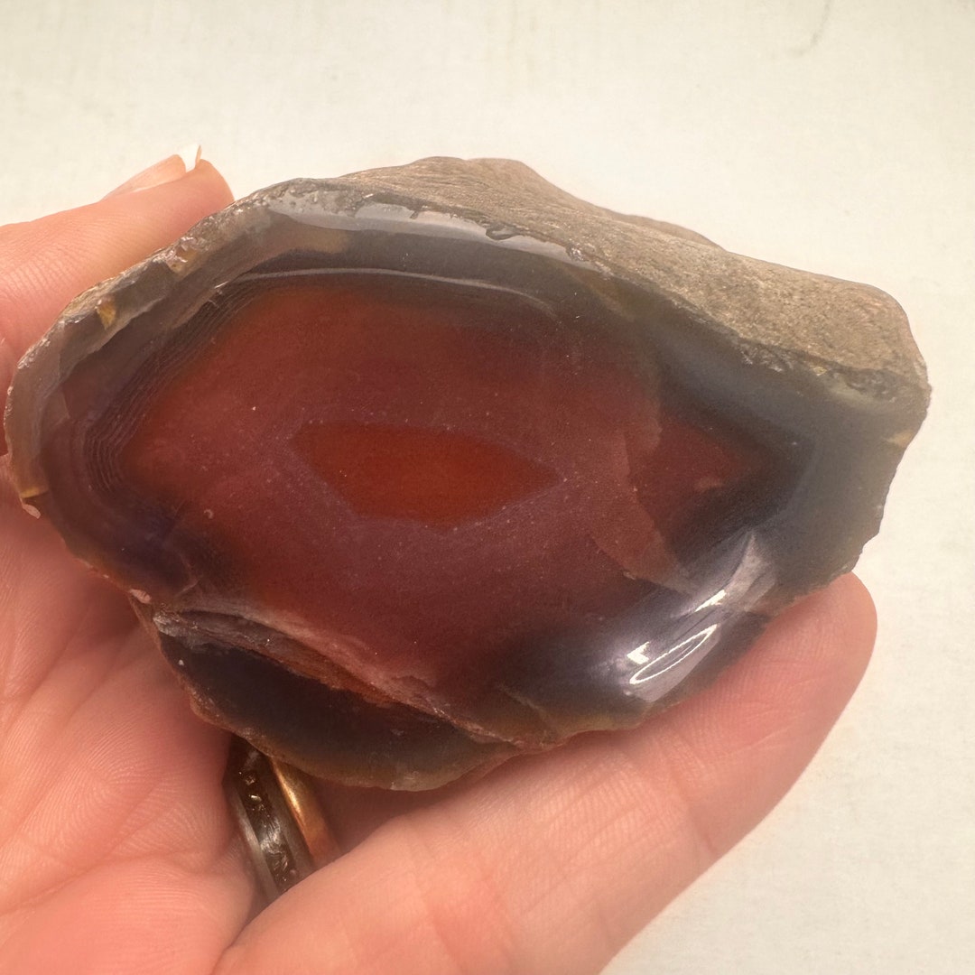Sashe River Agate Polished Nodule - Great Specimen From a Beloved ...