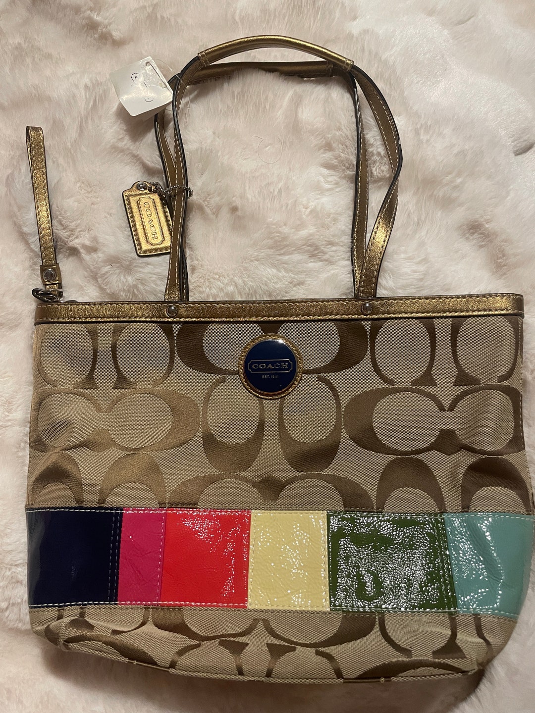 Coach Limited Edition Rainbow Lgbtq Shopper Lunch Bag Tote Nwt - Etsy