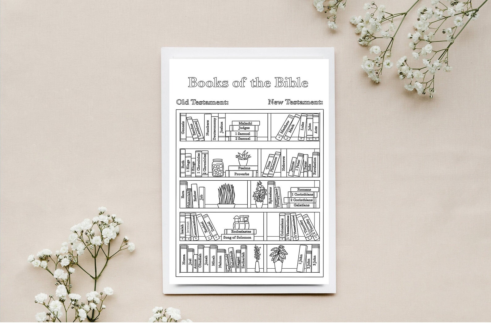 Books of the Bible Coloring Page Printable - Etsy