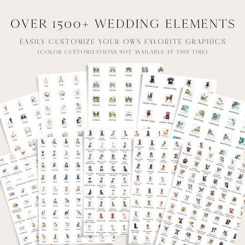 Wedding Fans With QR Code, Editable Infographics Ceremony Schedule Fans ...