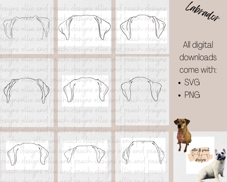 Complete Labrador Ear Outline Bundle| Lab Ear Outline SVG and PNG ...