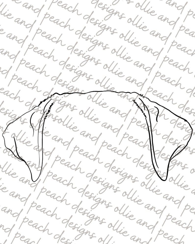 Complete Labrador Ear Outline Bundle| Lab Ear Outline SVG and PNG ...
