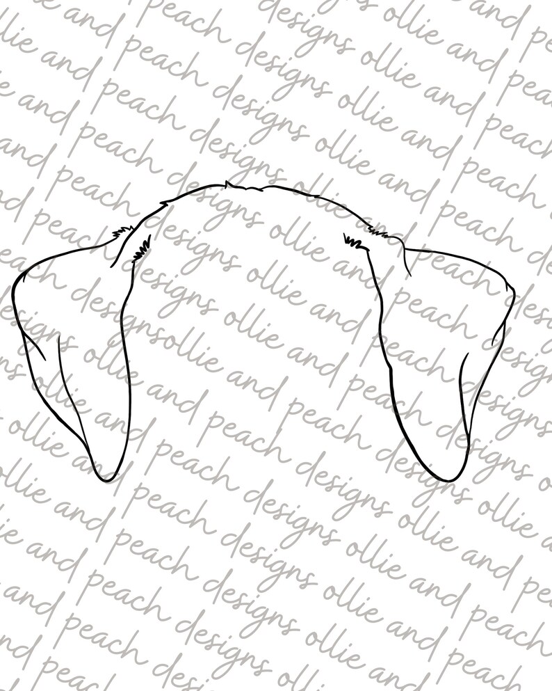 Complete Labrador Ear Outline Bundle| Lab Ear Outline SVG and PNG ...
