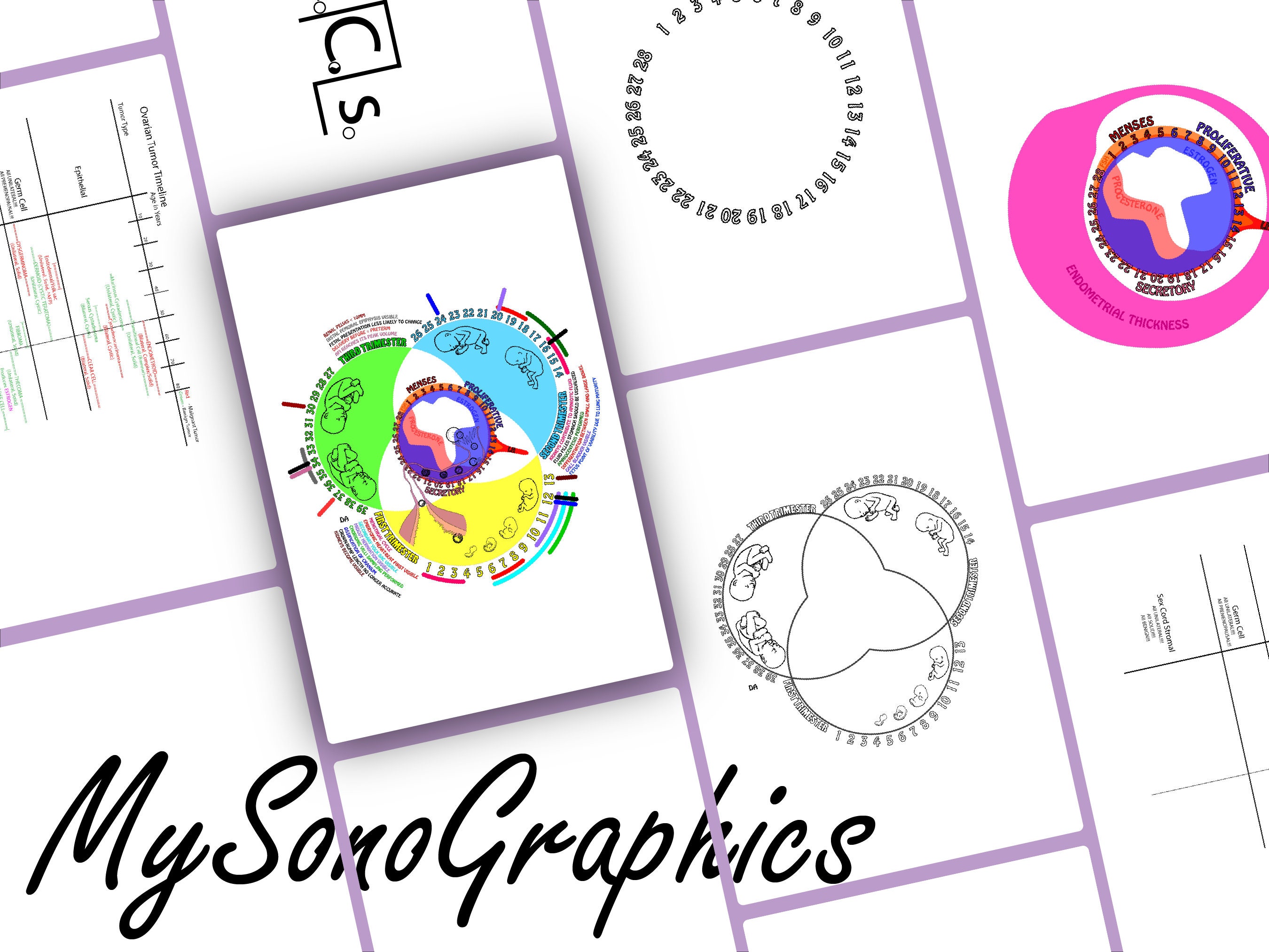 Visual Learner Diagnostic Medical Sonography / Ultrasound Study Aid ...