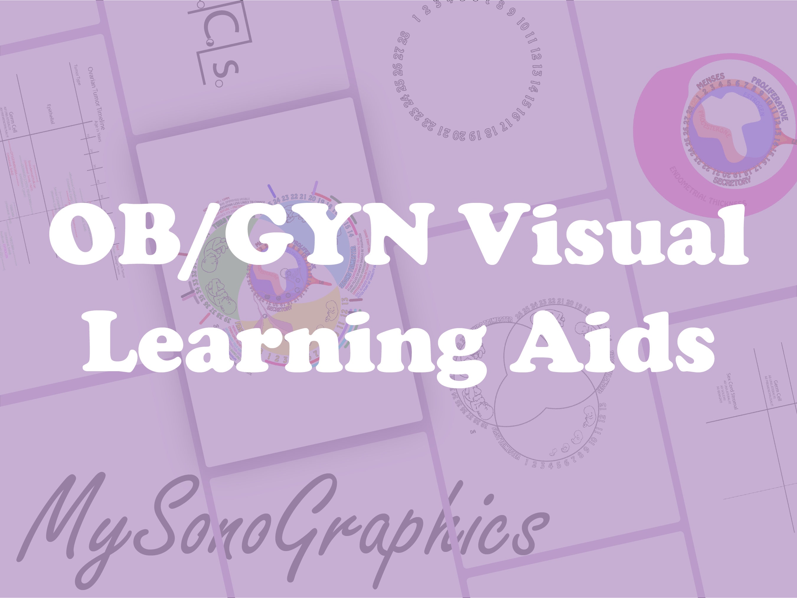 Visual Learner Diagnostic Medical Sonography / Ultrasound Study Aid ...