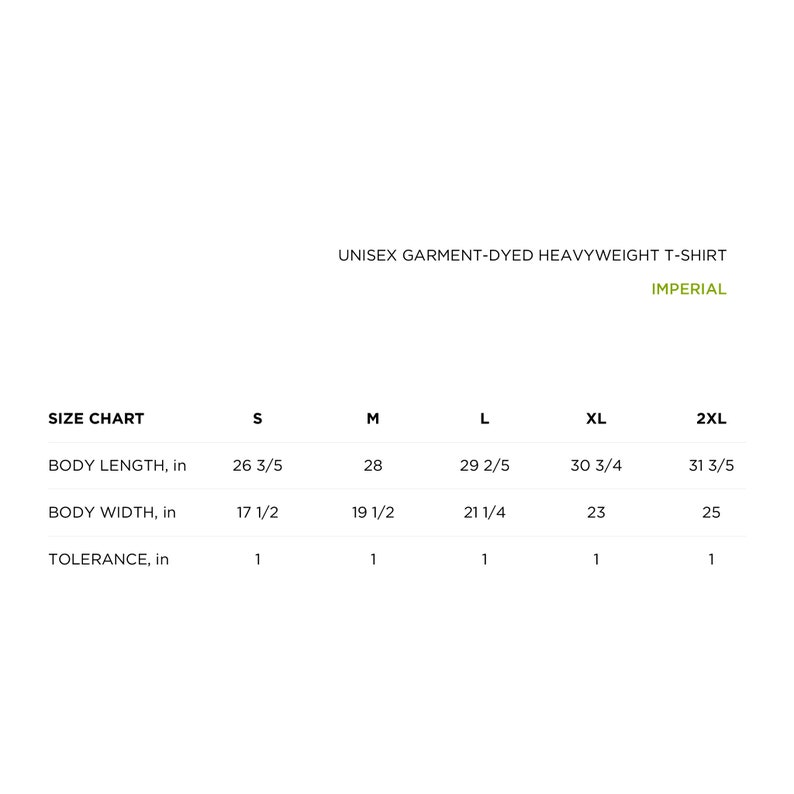 Twenty One Pilots, Clancy Tee, Next Semester Heavyweight T-shirt - Etsy