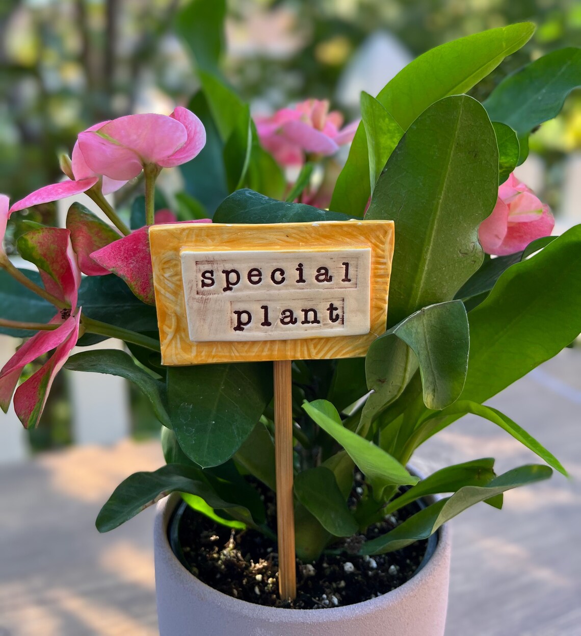 Handmade Ceramic Emotional Support Plant Marker: Garden Decor - Etsy