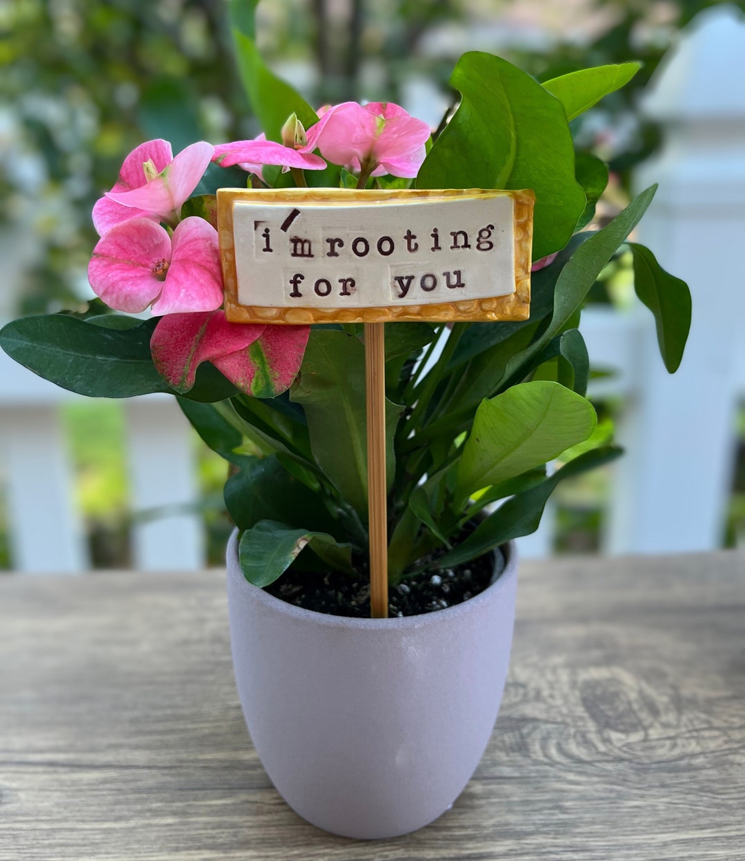 I'm Rooting for You Plant Marker | Funny/puny Plant Markers | Funny ...