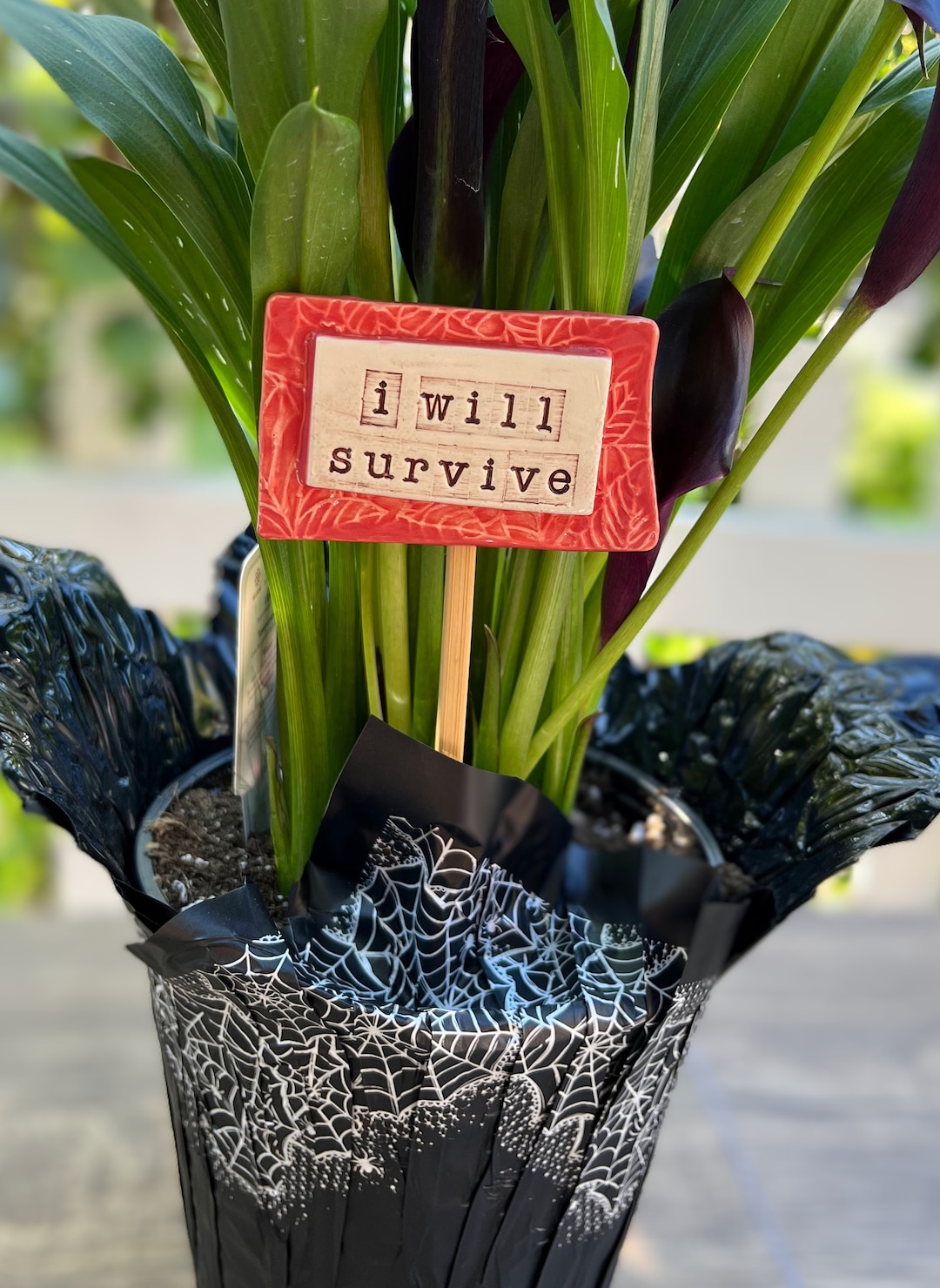 I Will Survive Plant Stake | Funny Plant Signs| Puny Plant Markers ...