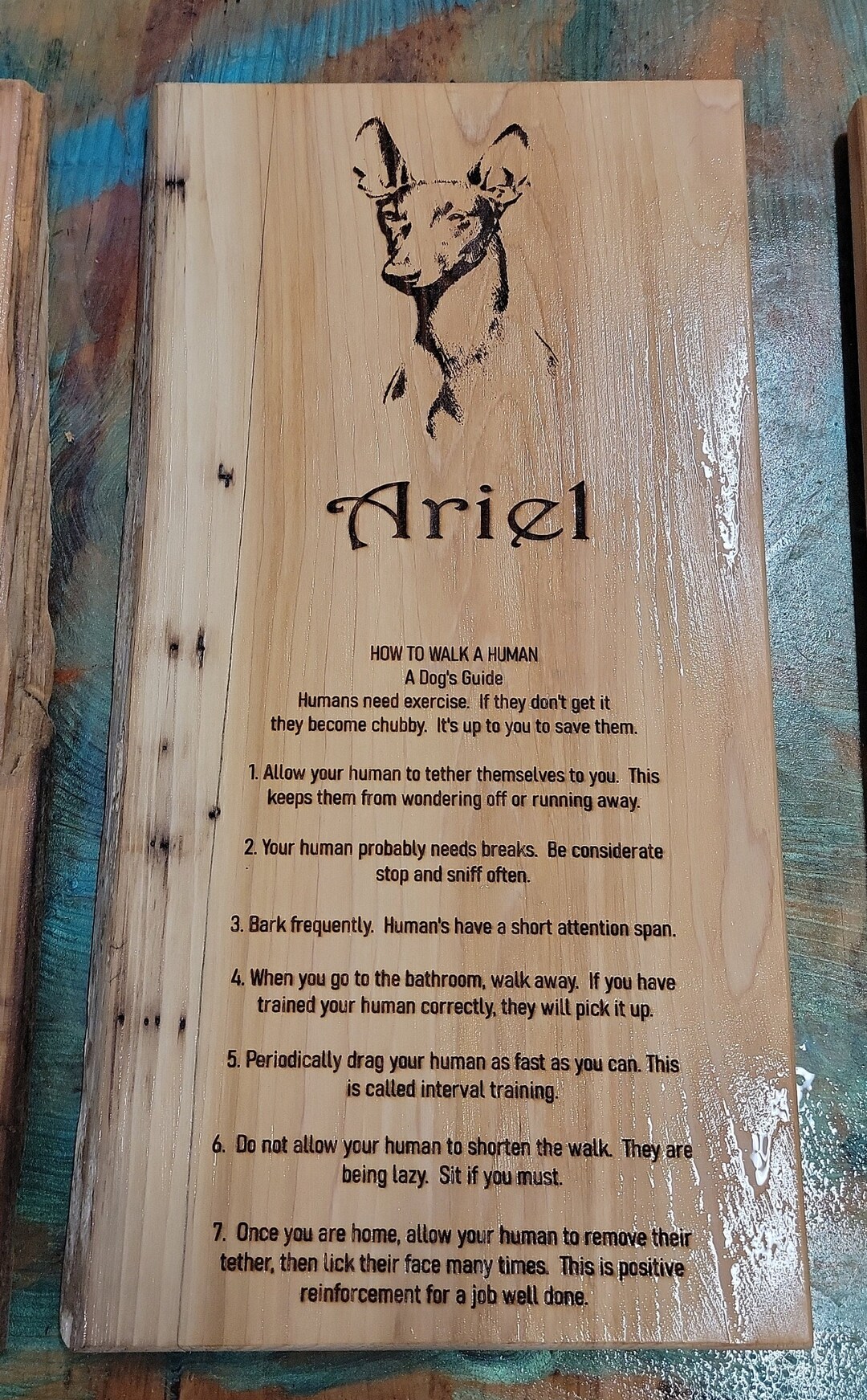 How to Walk Your Human Plaque - Etsy