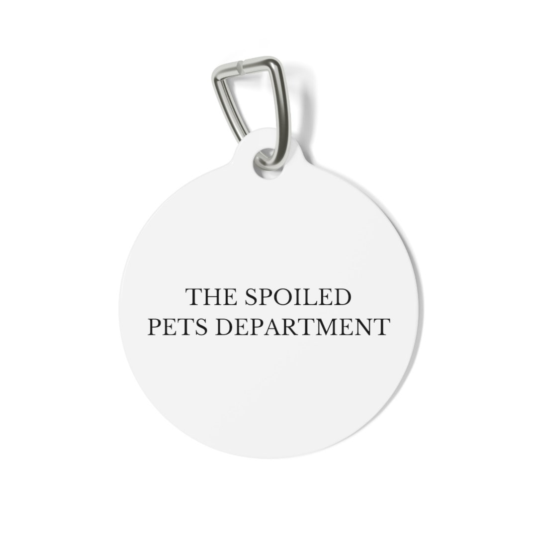 The Spoiled Pets Department Dog Collar Pet Tag Gift for Swiftie Music ...