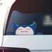 Heart Butt Decal/ Sticker - Etsy