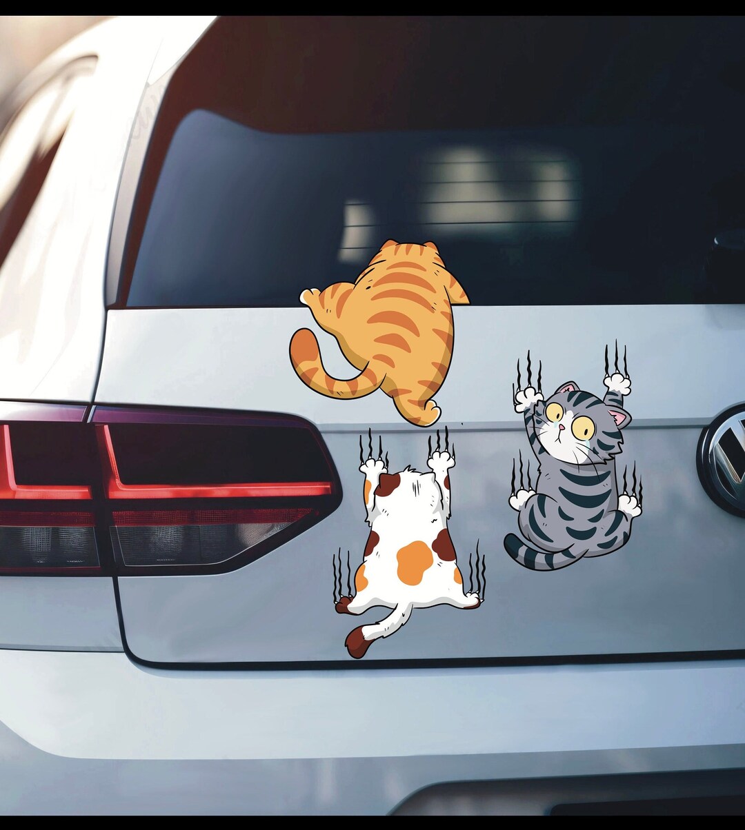 Scard Y Cats Car Decal Vinyl Window Stickers Gift for Cat Lovers Silly ...