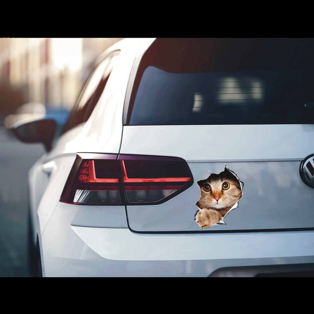 Cat Peeker Car Sticker / Cat Tear Sticker / Peeking Cat / Funny Car Cat ...