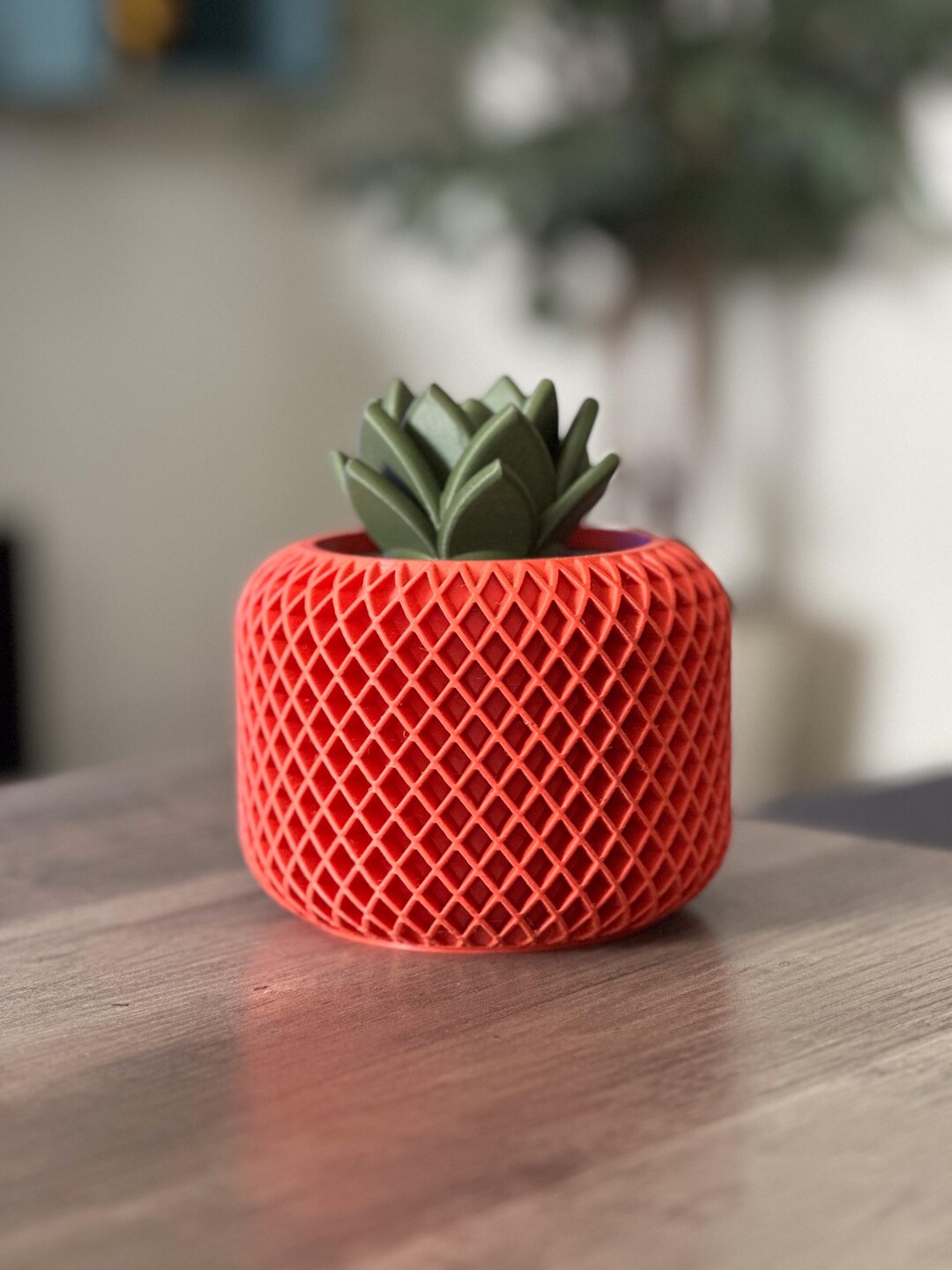 3D Printed Succulent Plant Pot, Desk Gift, Shelf Decor, Gift for Plant ...