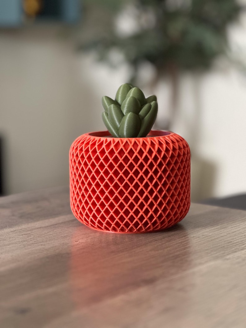 3D Printed Succulent Plant Pot, Desk Gift, Shelf Decor, Gift for Plant ...