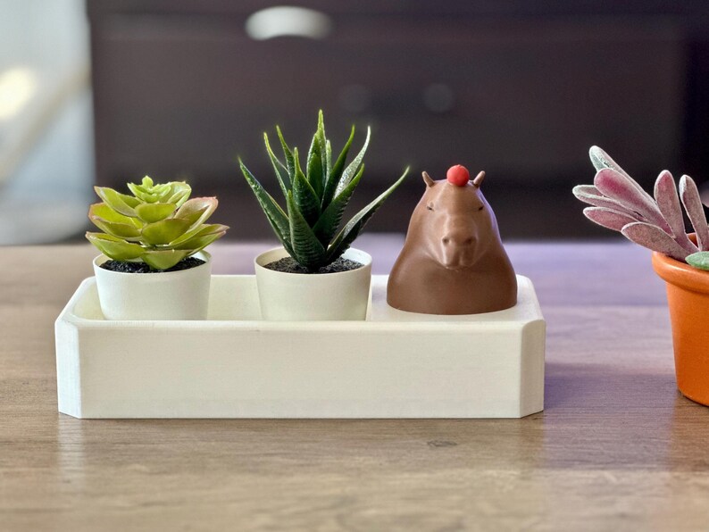 Capybara Succulent Planter Tray - Gift, Office Decor, Desk Decor, Home ...