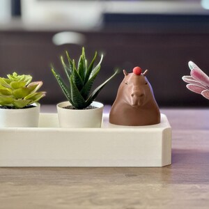 Capybara Succulent Planter Tray - Gift, Office Decor, Desk Decor, Home ...