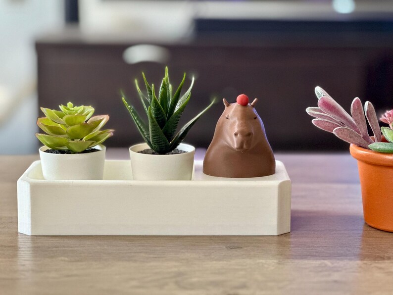 Capybara Succulent Planter Tray - Gift, Office Decor, Desk Decor, Home ...