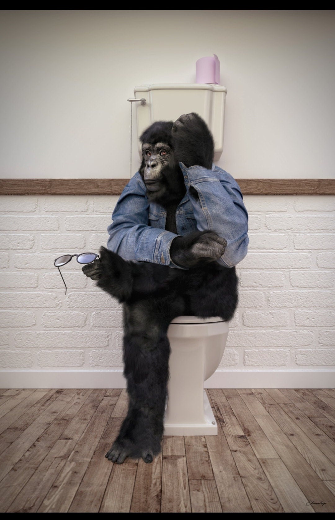 Monkey on Toilet Instant Purchase - Etsy