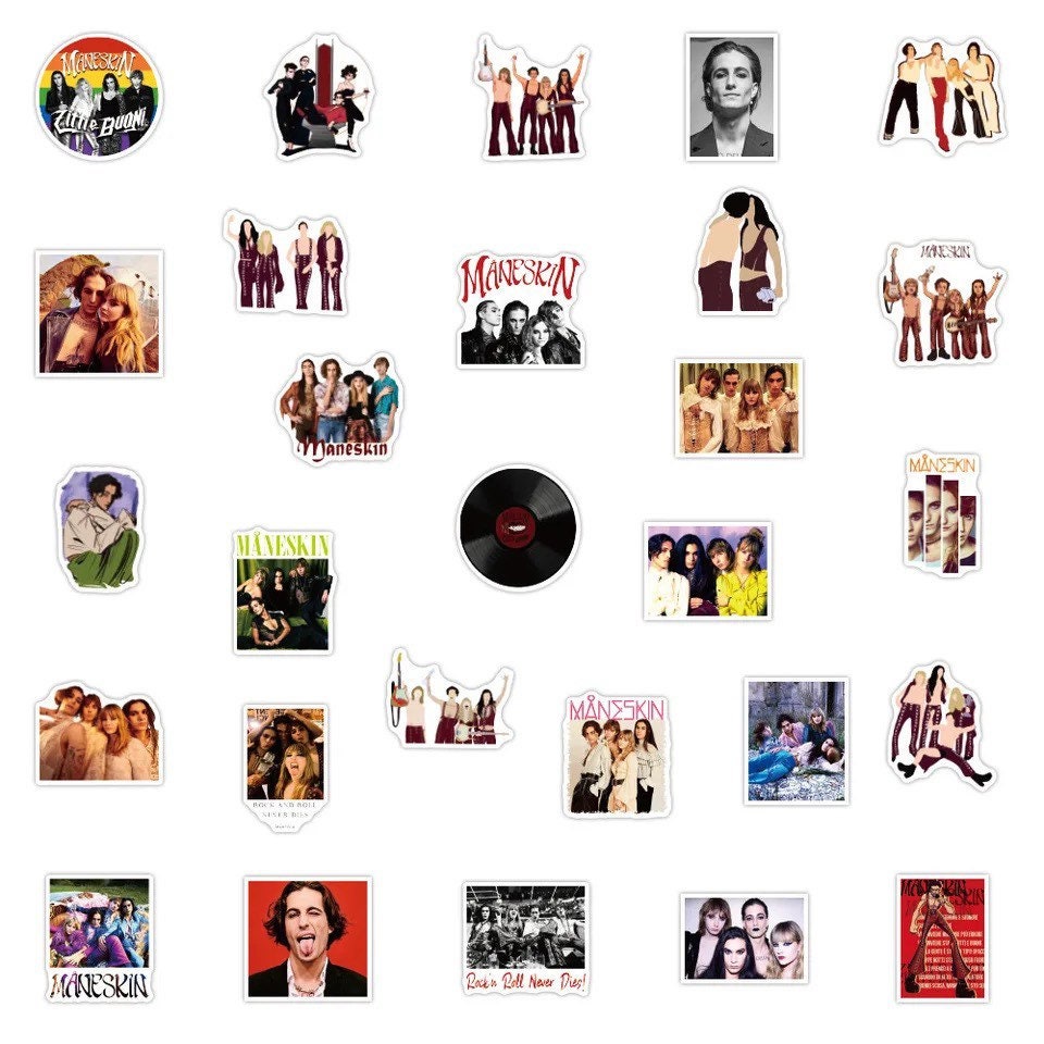 10/30/50PCS Maneskin Band Stickers Aesthetic Laptop Guitar Water Bottle ...