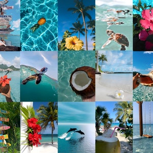 100+ Coconut Girl Aesthetic Wall Collage Kit | Summer Beach Vibe ...