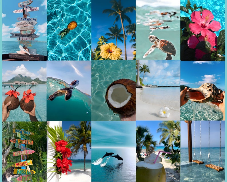100 Coconut Girl Aesthetic Wall Collage Kit Summer Beach - Etsy