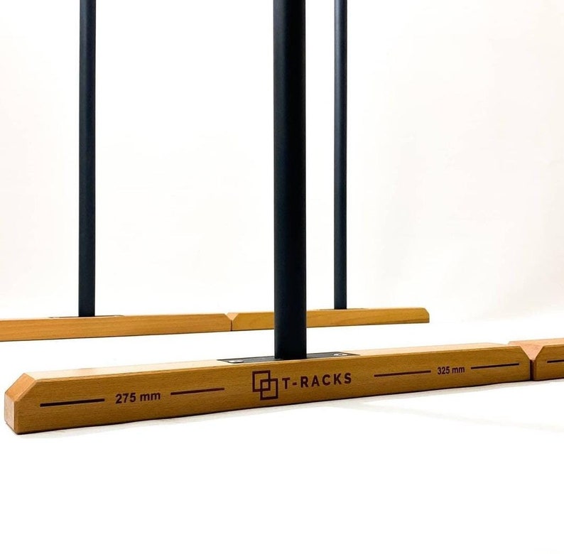 Parallette 100 Parallel Bars Pull up Dips Home Fitness Calisthenics ...