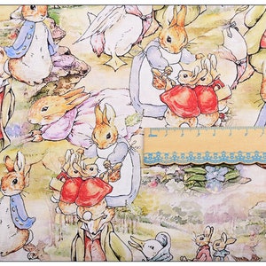 Peter Rabbit Fabric Cute Bunny Fabric Cartoon Fabric Cotton Fabric by ...