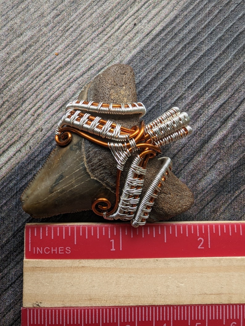 Megalodon Shark Tooth Pendant Charm for Necklace, Wire Wrapped Shark ...