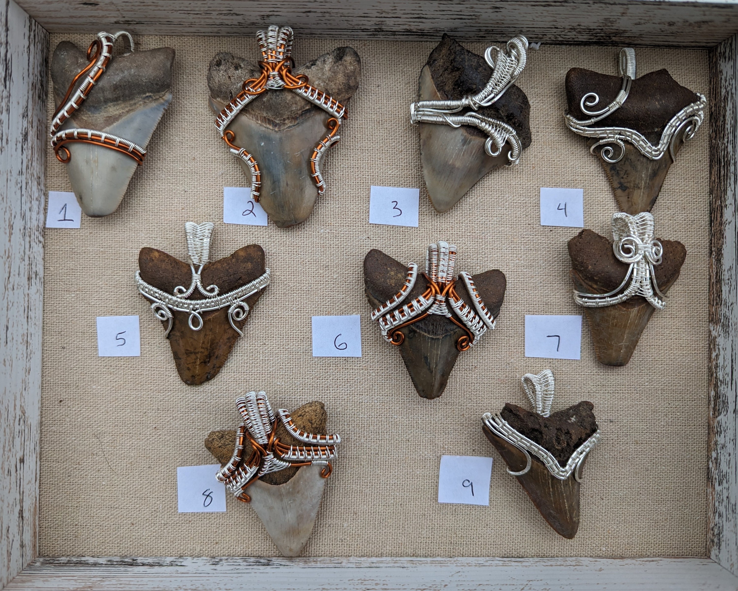 Megalodon Shark Tooth Pendant Charm for Necklace, Wire Wrapped Shark ...