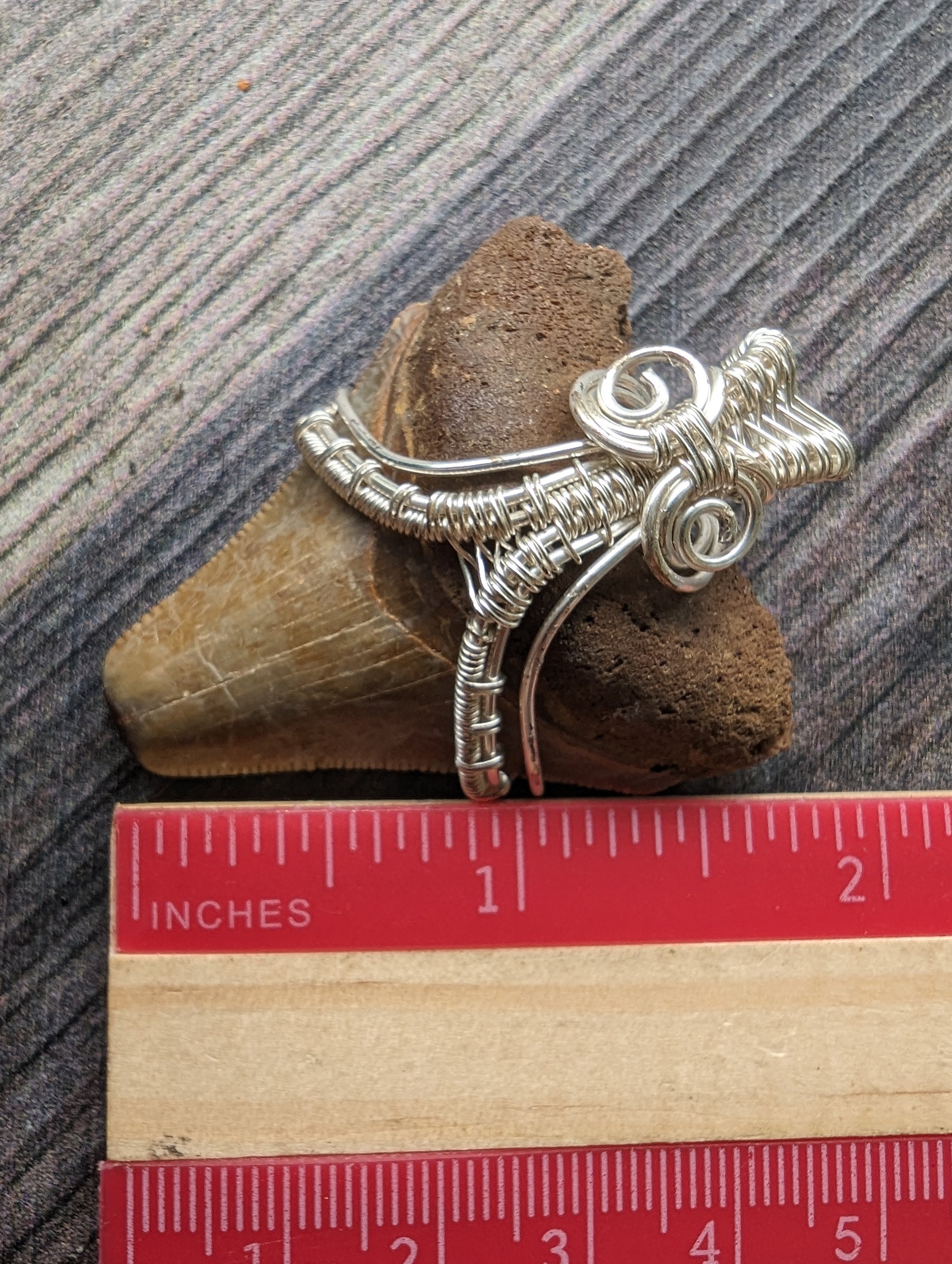 Megalodon Shark Tooth Pendant Charm for Necklace, Wire Wrapped Shark ...