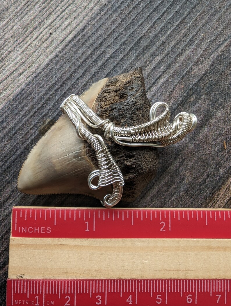 Megalodon Shark Tooth Pendant Charm for Necklace, Wire Wrapped Shark ...