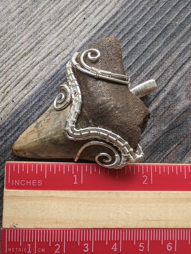 Megalodon Shark Tooth Pendant Charm for Necklace, Wire Wrapped Shark ...