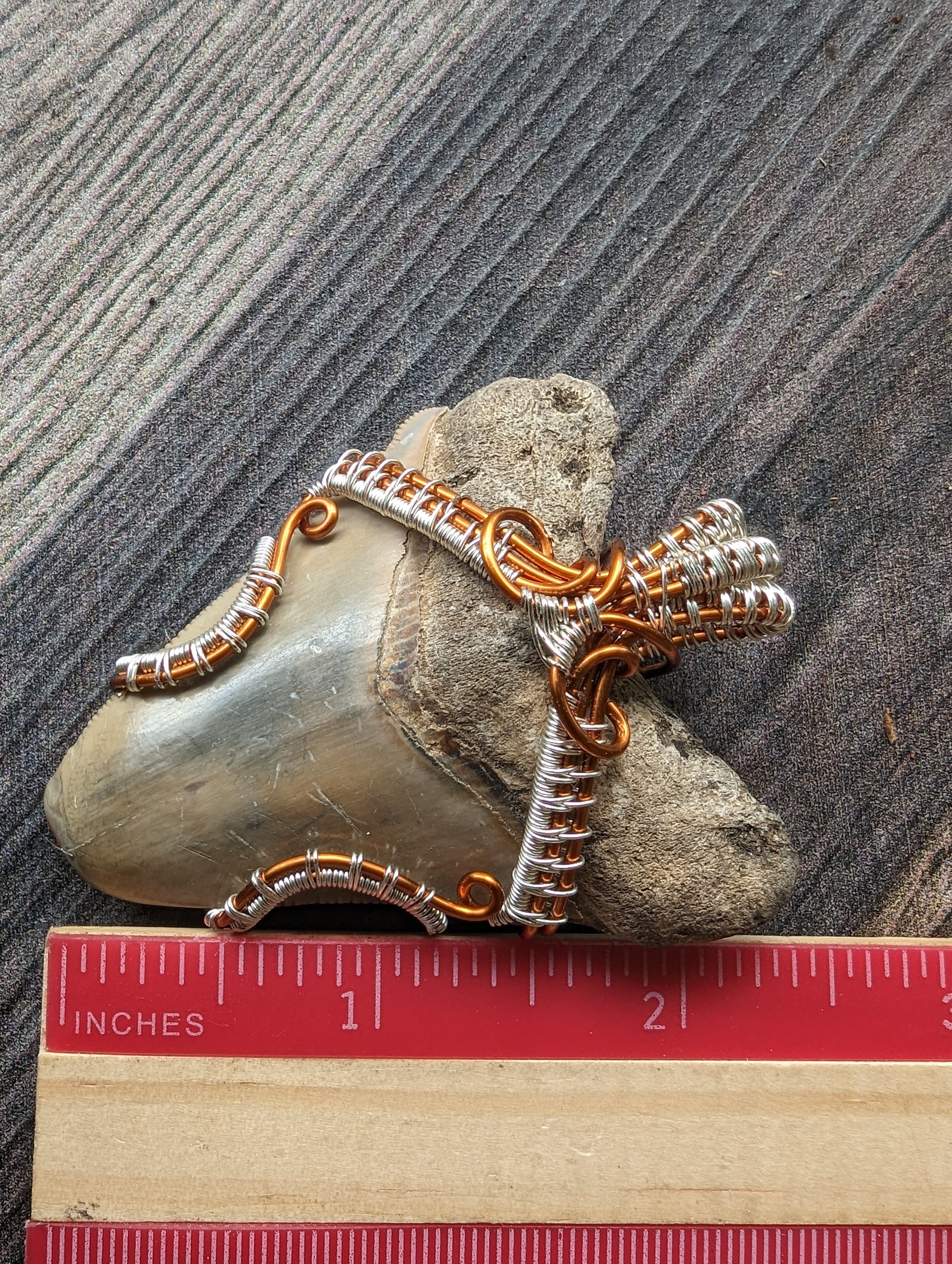 Megalodon Shark Tooth Pendant Charm for Necklace, Wire Wrapped Shark ...