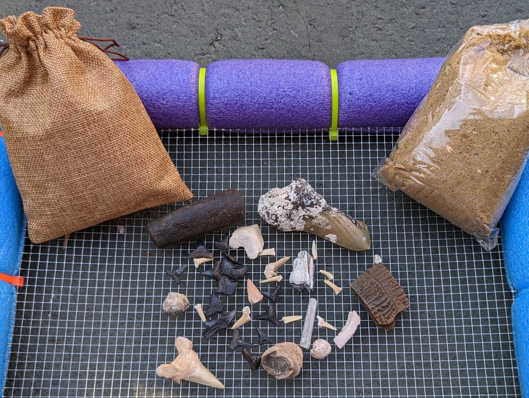 PREMIUM Fossil Dig Sift Bag, Marine & Land Fossils, Bones, Teeth ...
