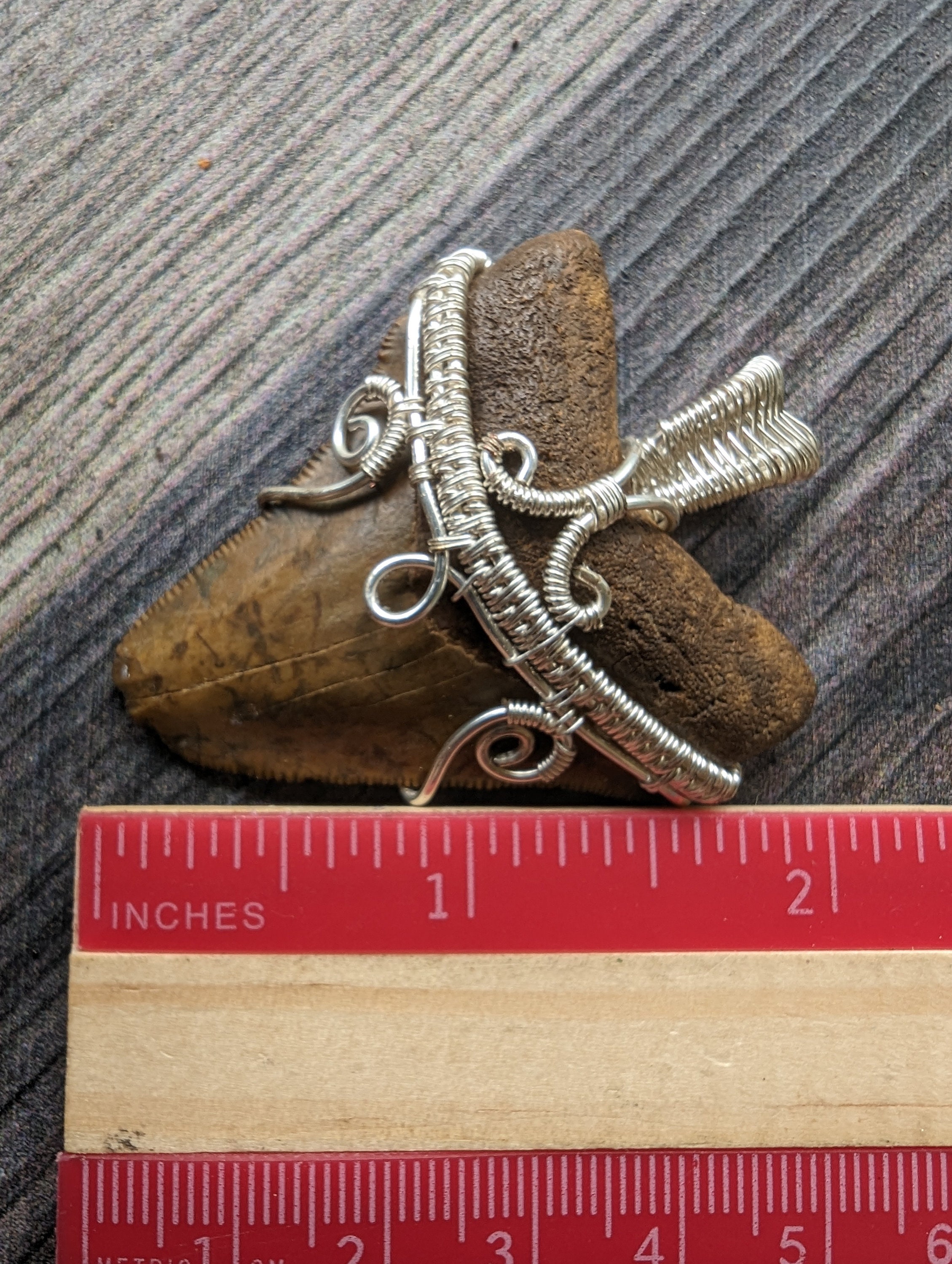 Megalodon Shark Tooth Pendant Charm for Necklace, Wire Wrapped Shark ...