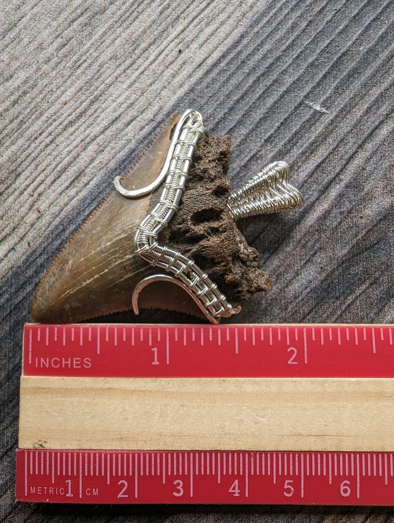 Megalodon Shark Tooth Pendant Charm for Necklace, Wire Wrapped Shark ...