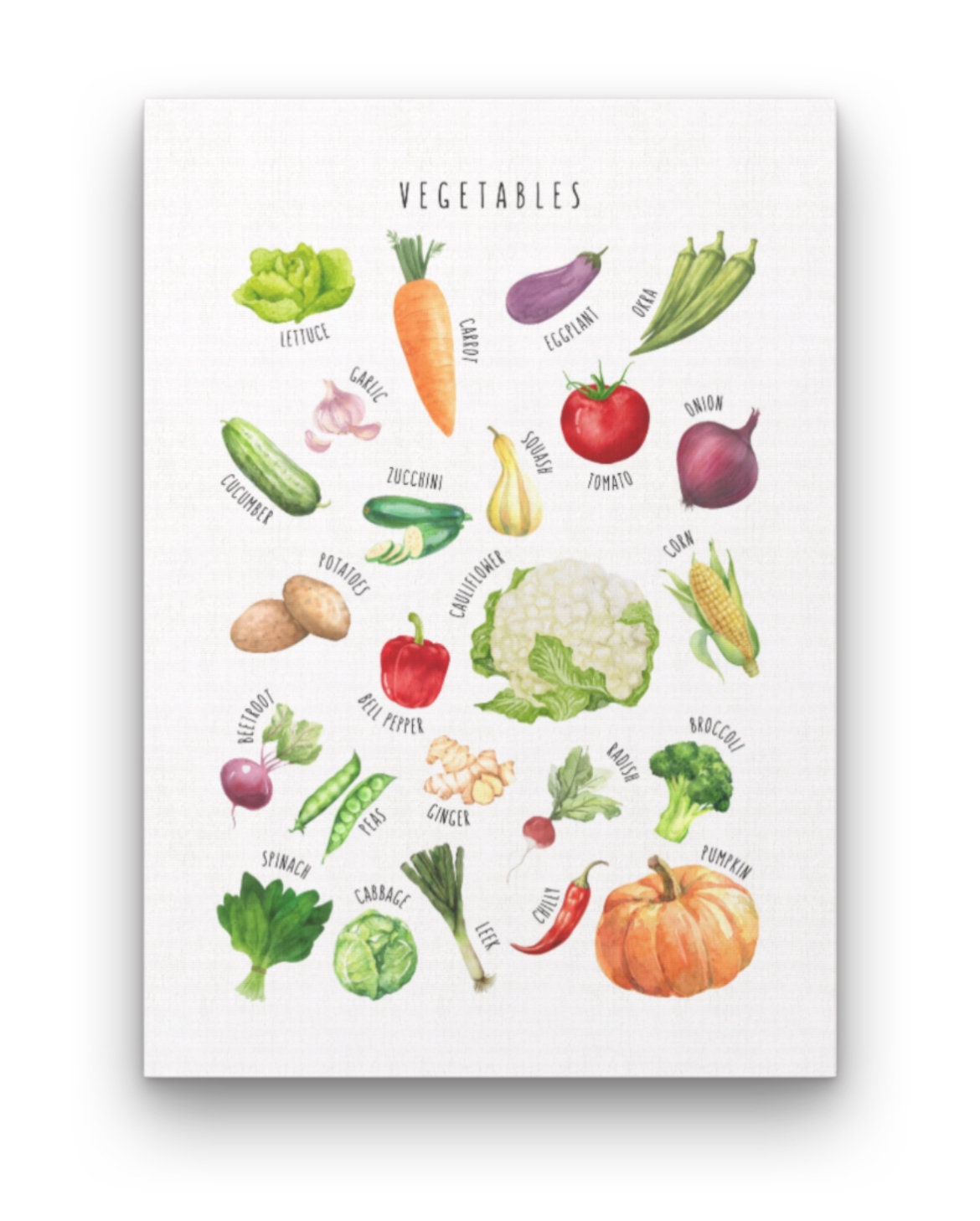 Vegetables Chart Poster, Digital Download, Montessori Poster - Etsy