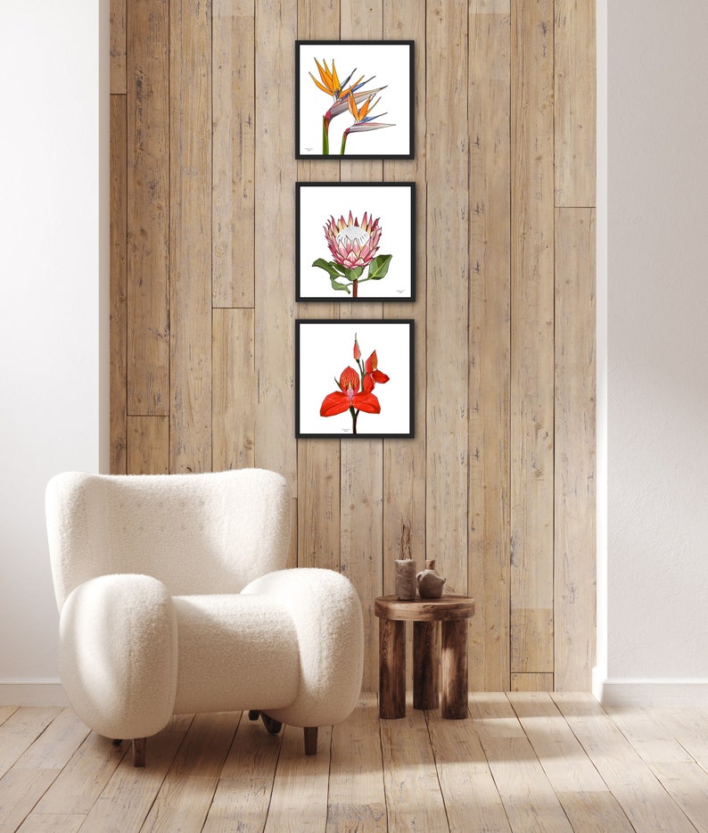Disa Uniflora Red Printable Design, Table Mountain Flower, Red Orchid ...