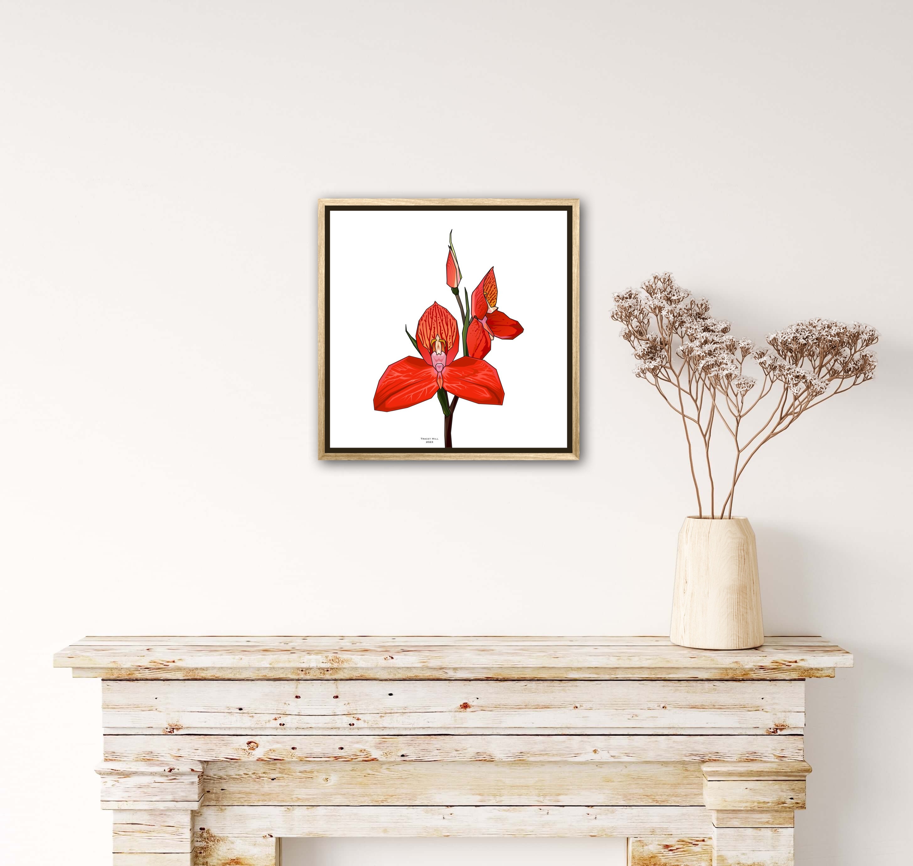Disa Uniflora Red Printable Design, Table Mountain Flower, Red Orchid ...