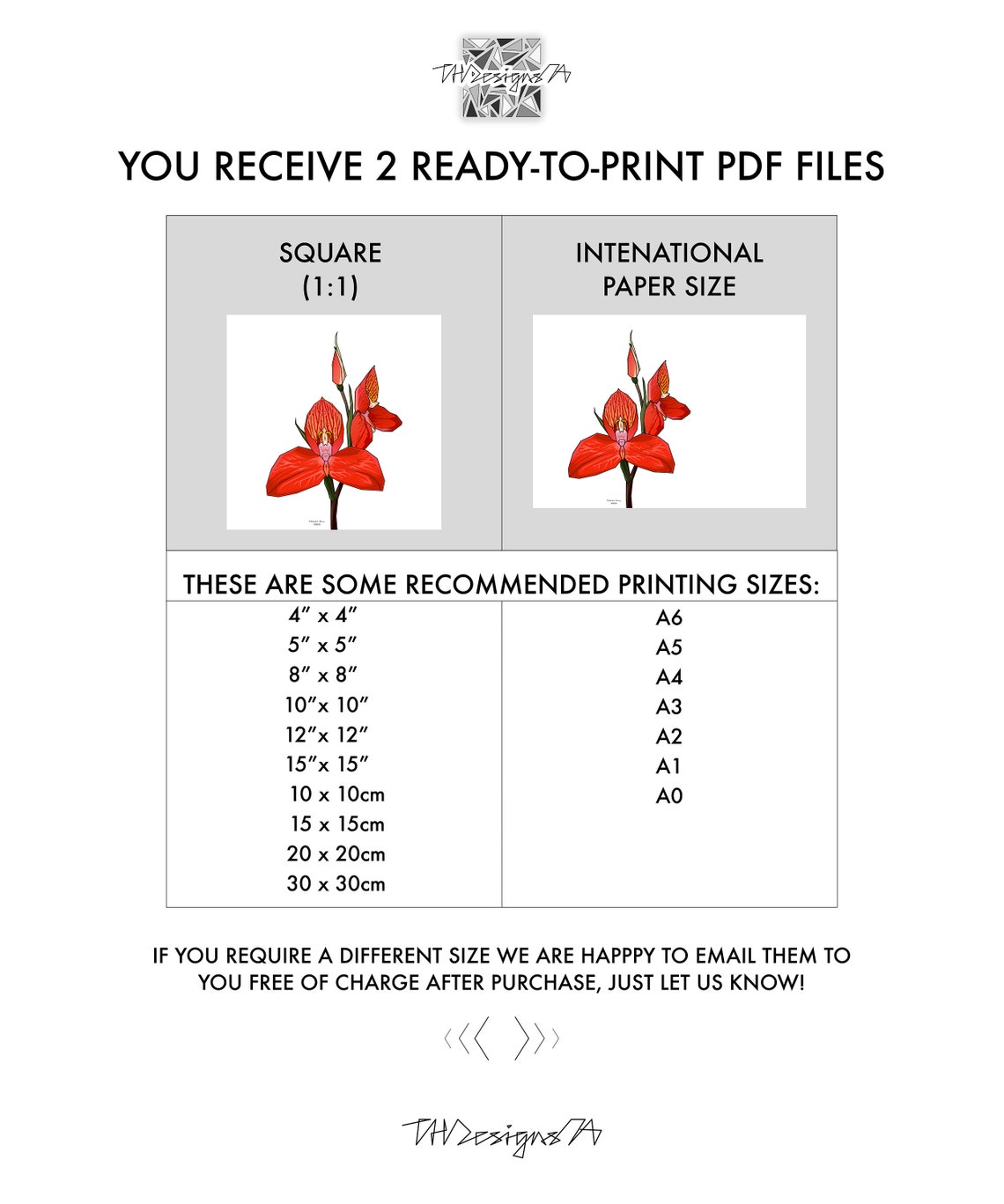 Disa Uniflora Red Printable Design, Table Mountain Flower, Red Orchid ...