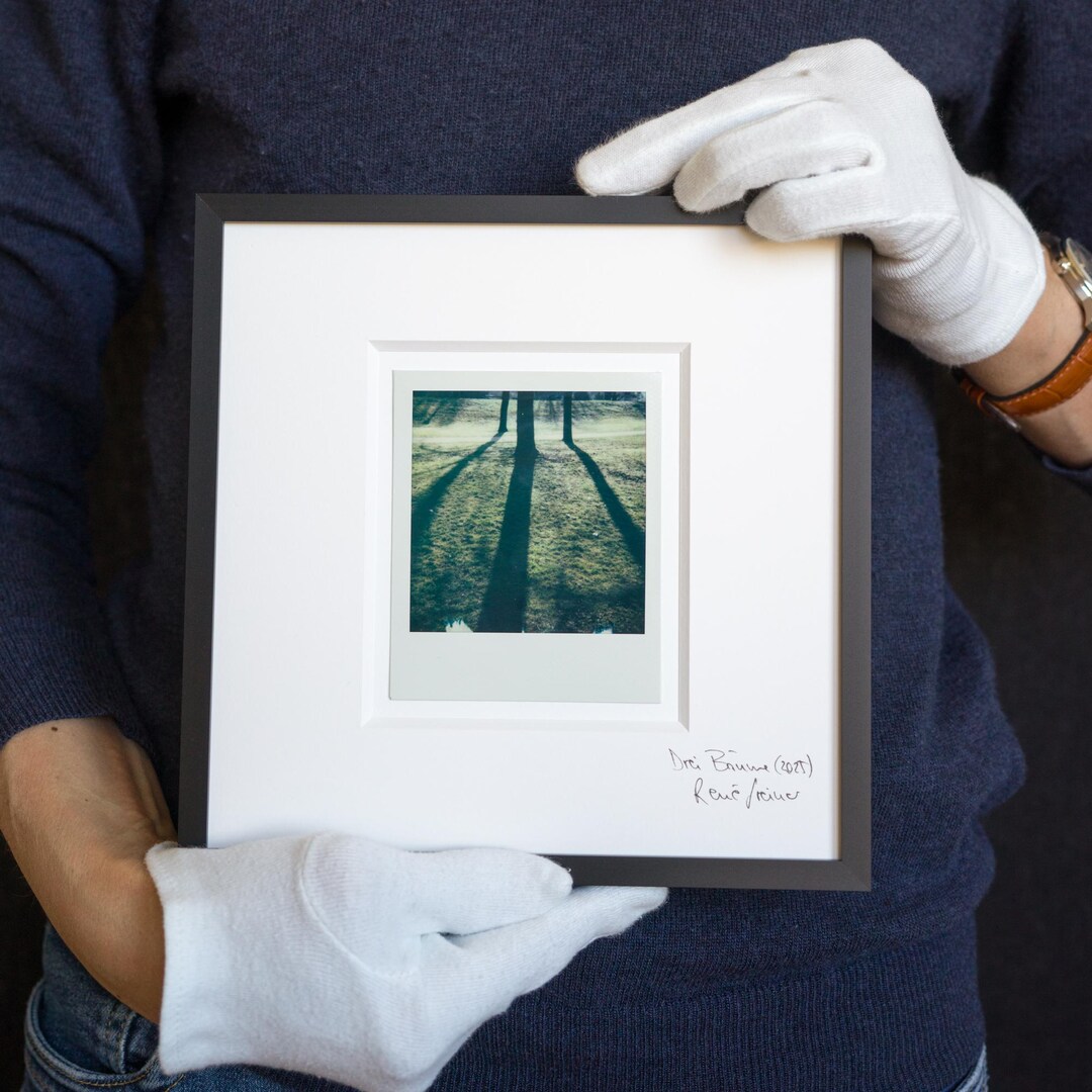 Polaroid Photograph "three Trees" (2025). Exclusive One-of-a-kind Piece ...