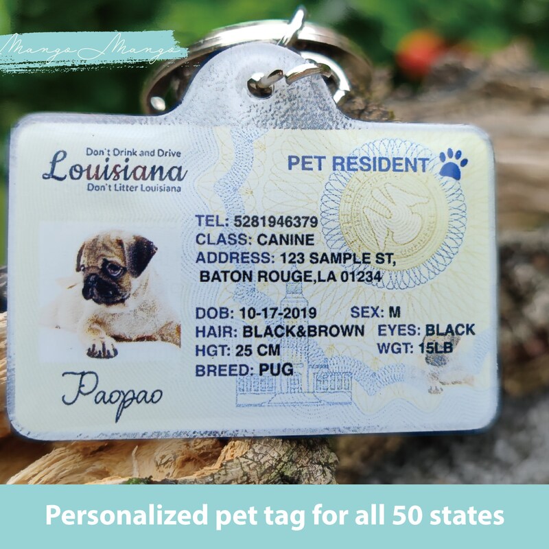 Dog Driver License - Etsy