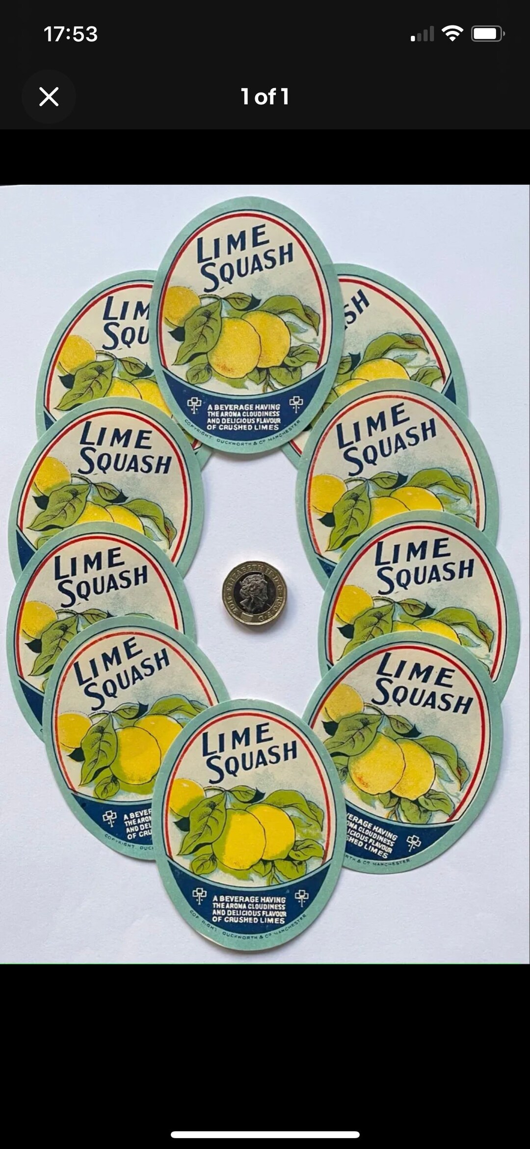 10 OLD LIME SQUASH Antique Soda Pop Labels Original Paper - Etsy