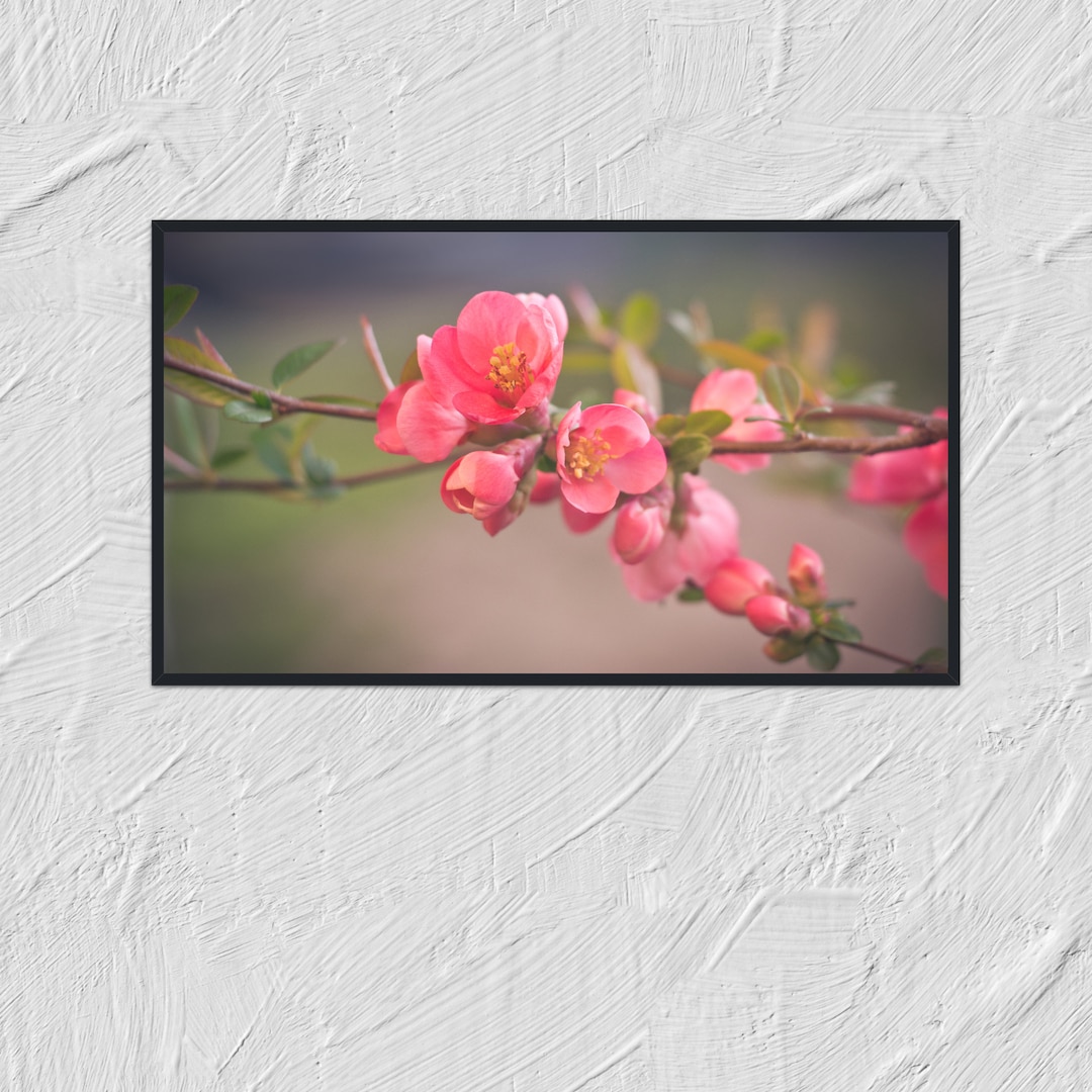 Samsung Frame TV, Flower Frame Tv Art, Digital Download, Instant ...