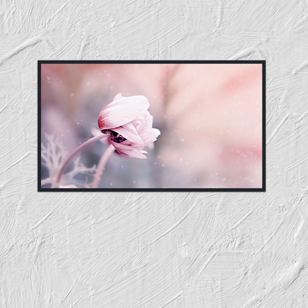 Samsung Frame TV, Flower Frame Tv Art, Digital Download, Instant ...
