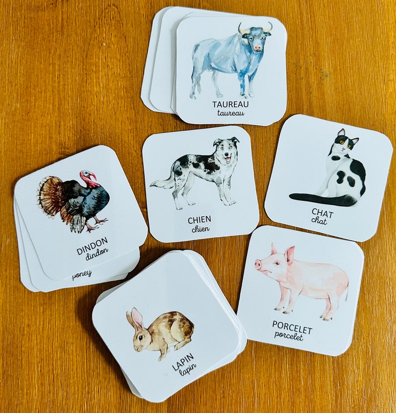 Farm Animals Nomenclature Card Kindergarten Educational Game Fun Game ...
