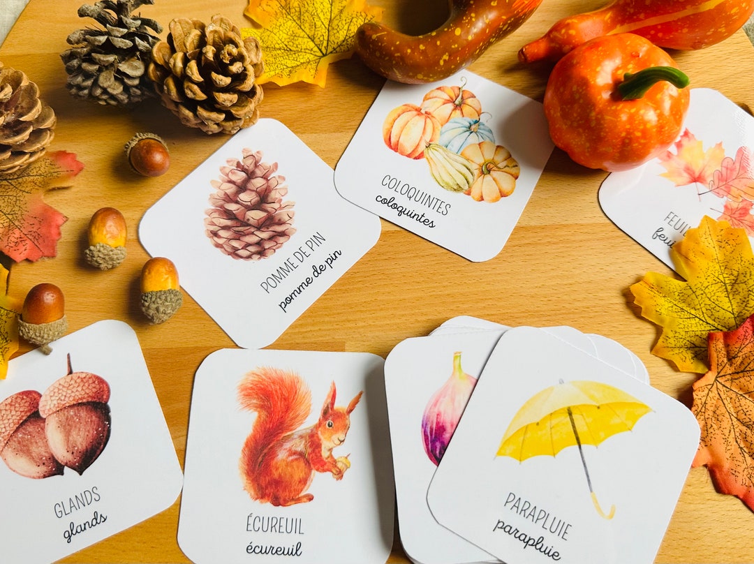 30 Autumn Nomenclature Cards, Picture Book, Montessori-inspired Game - Etsy